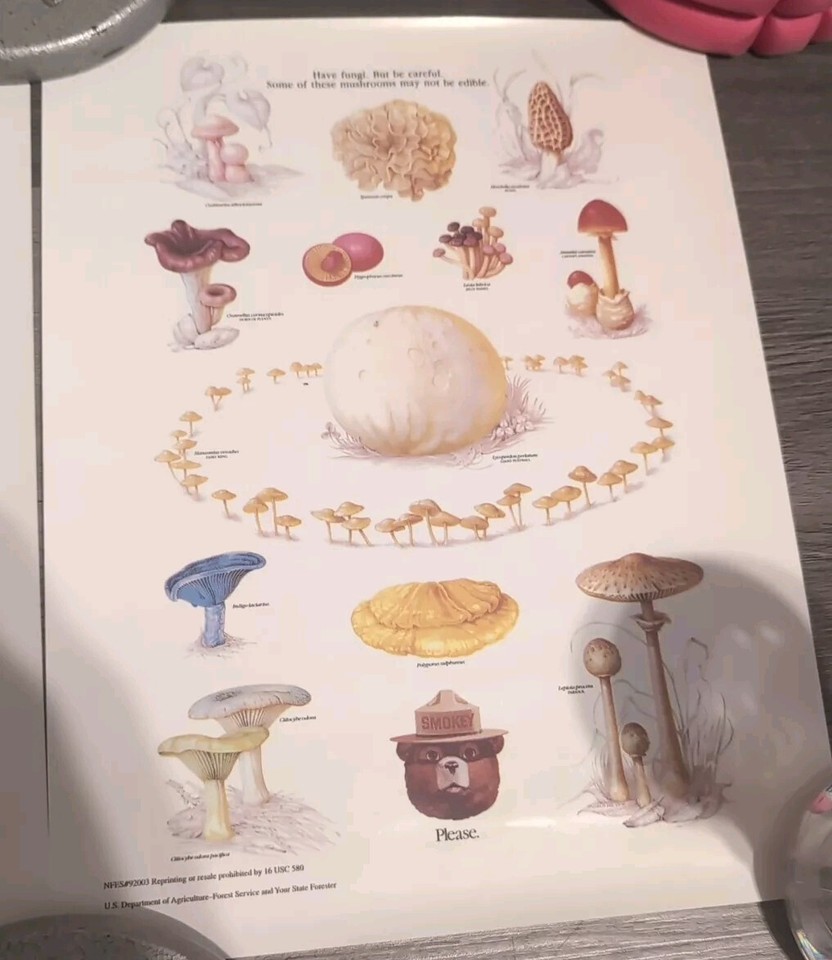 3 Vintage Smokey The Bear Fungi Mushrooms Trees Foods Posters 11" X 8.5 ...