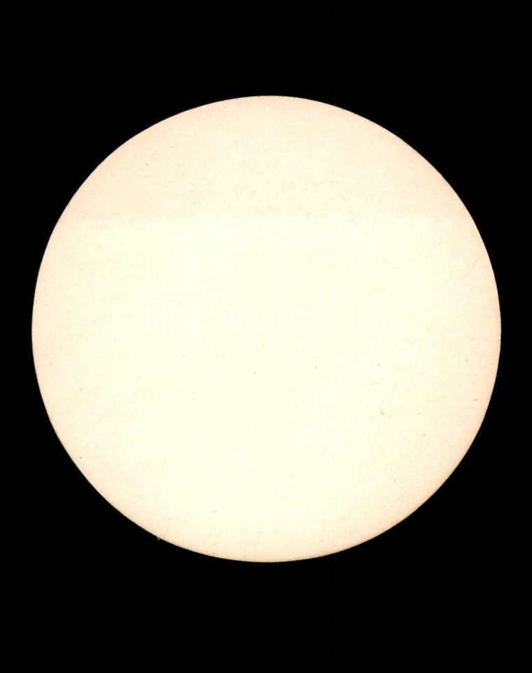 1981 MSA Discs (Peter Pan / Sunbeam) #NNO Garry Templeton | eBay