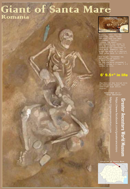 Largest Human Skeleton