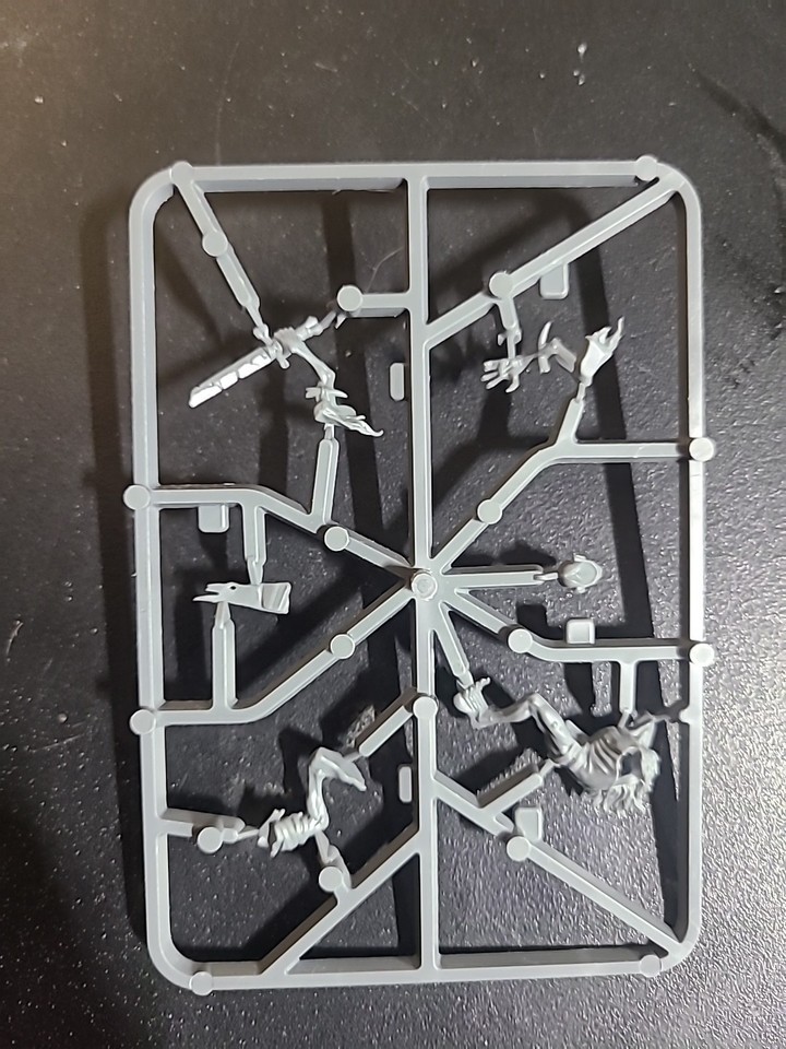 Warhammer Aos Age Of Sigmar Crypt Guard Single New On Sprue Mini Of The ...