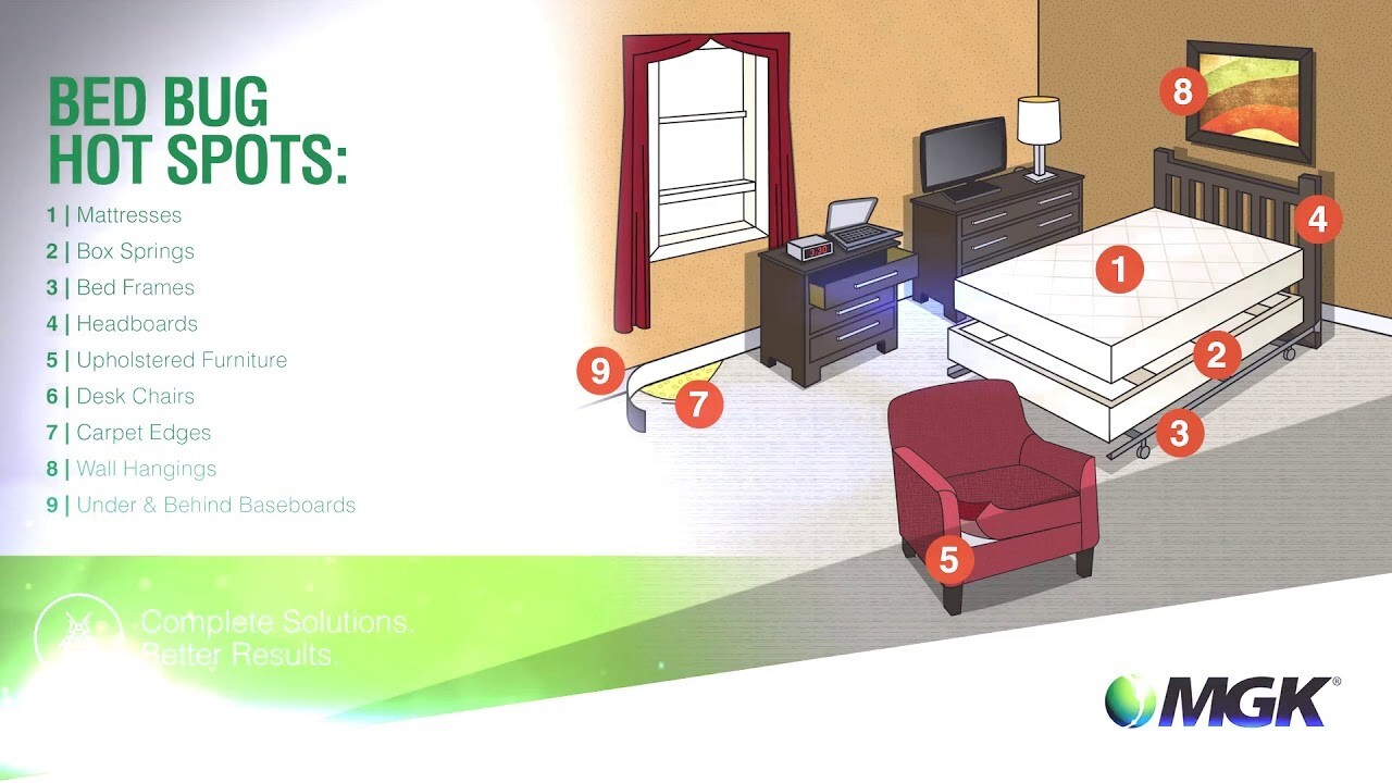 Crossfire Insecticide 130oz- Clothianidin Metofluthrin - MEGA BOTTLE | eBay