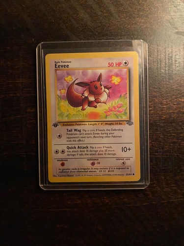 1999 Pokemon Eevee Jungle 1st Edition #51 Gem Mint | eBay