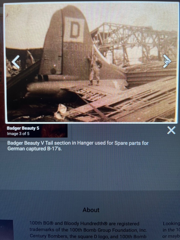 *WWII photo- 100th Bomb Group- B 17 Bomber plane BADGER BEAUTY V (42 ...