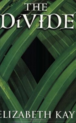 The Divide, Kay, Elizabeth 9781905294206 | eBay Australia