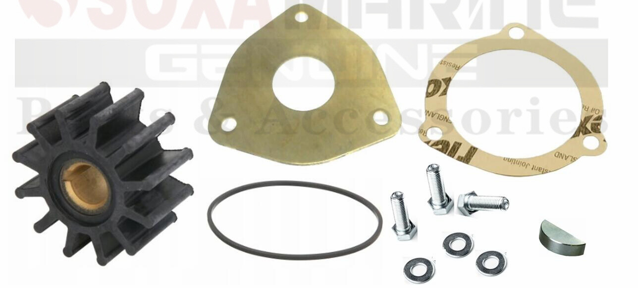 Minor Repair Kit Fits Sherwood 12665 Impeller 09959 G15 G21 G30-2B ...