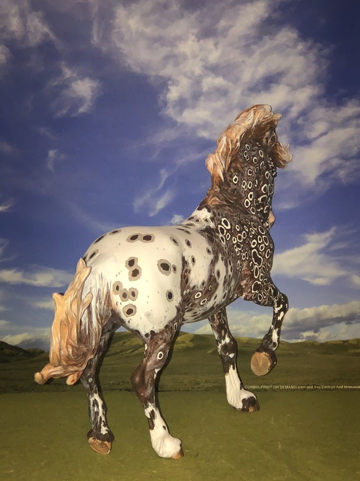 OOAK Breyer cm Custom Horse FireHeart by D.Williams *Beautiful Peacock ...