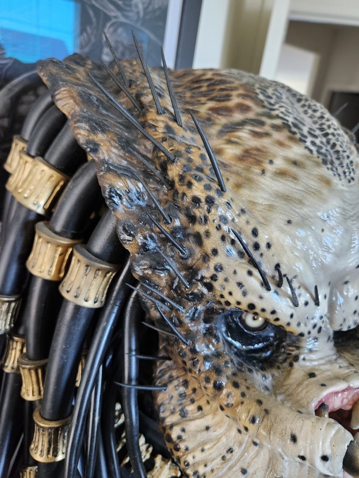 Scott Marshall Lifesize 1:1 Jungle Hunter Predator Statue Head READ ...