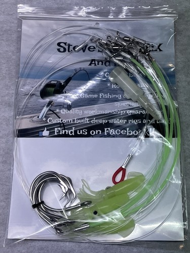 Deep Drop Rigs 16/0 X 6, Glow Combo Rig | eBay Australia