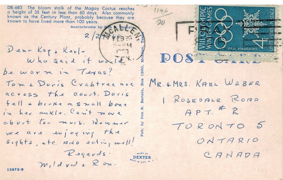 Postcard - Blooming Stalk Of Magay Cactus or Century Plant, Mcallen ...