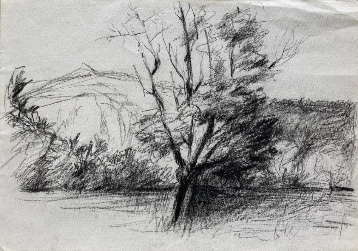 Charcoal Art Landscape