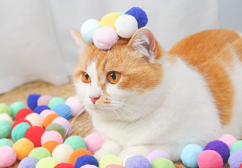 Interactive Cat Toy Launcher with Colourful Pom Indoor Play Ball ...
