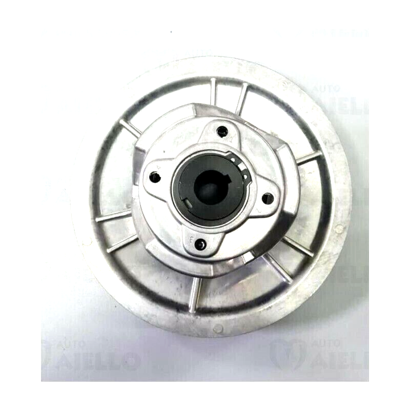 Variator ligier Microcar Chatenet Jdm Casalini Italcar Austausch Pulley ...