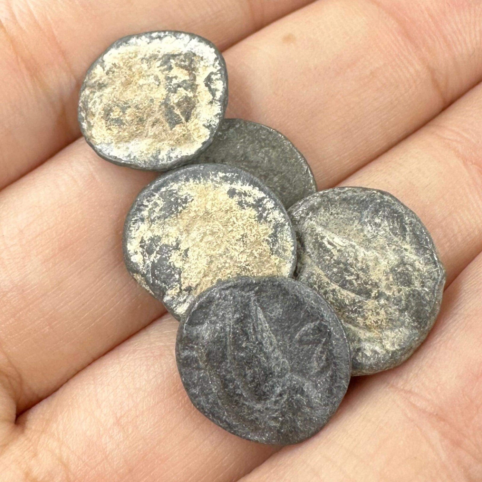 Lot of 5 ancient Athena Attica Owl Greek Bronze Coins | eBay