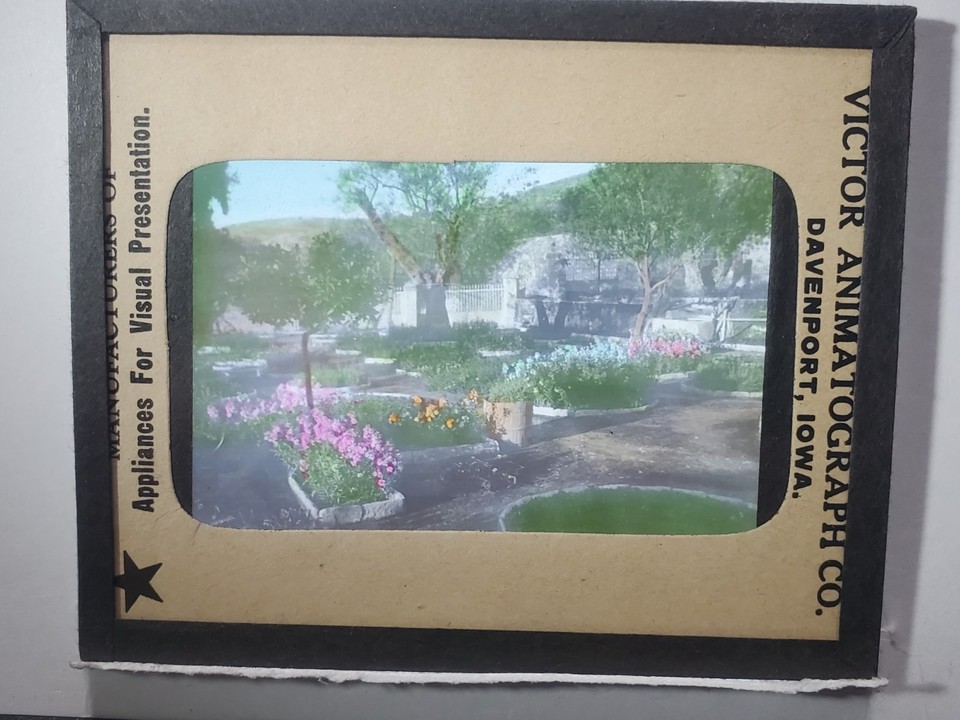 Garden of Gethsemane, Jerusalem, Victor Animatograph Magic Lantern ...