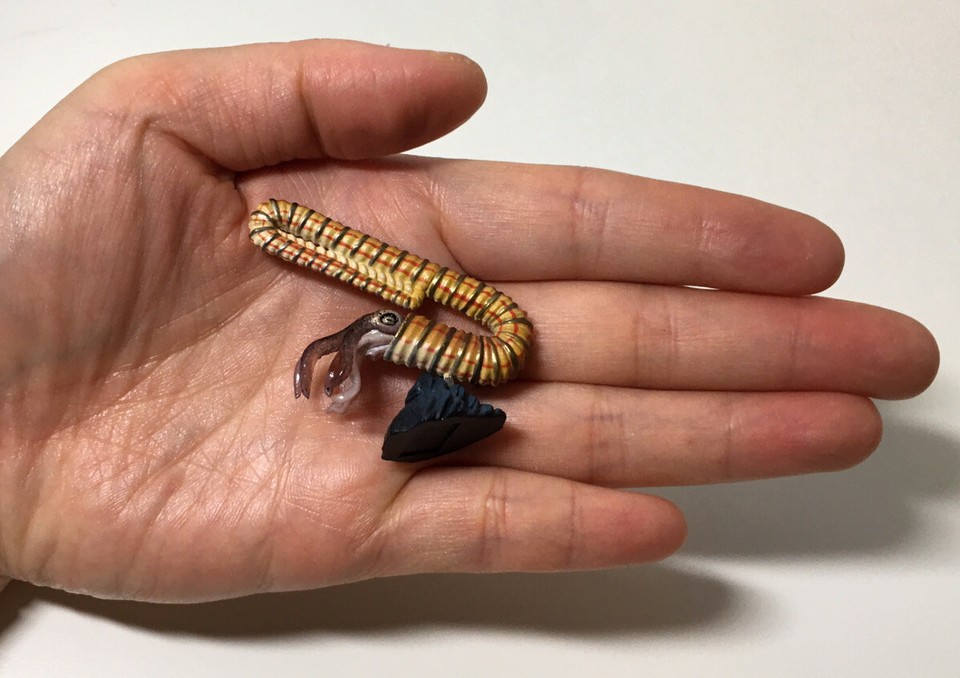 Kaiyodo UHA Dinotales Series 6 Polyptychoceras A Dinosaur Squid Figure | eBay