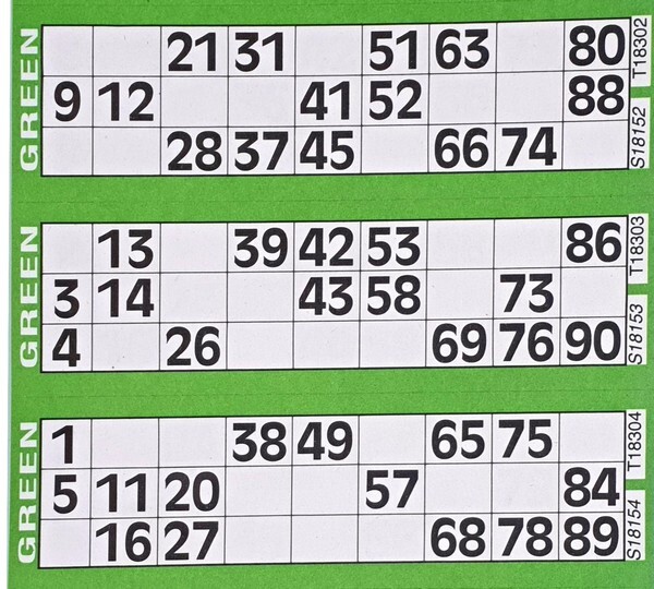 Bingo Tickets 300 6 To View, All Colors Jumbo 1-90 booklet cards books ...