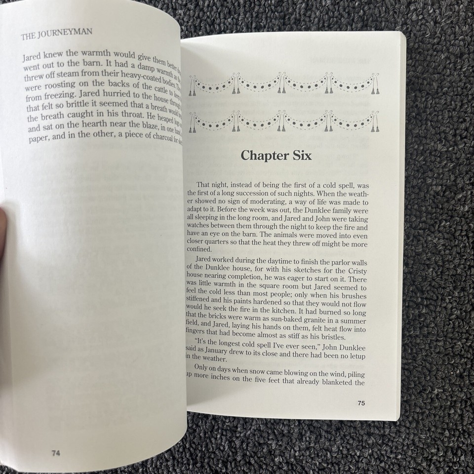 The JOURNEYMAN and HUE & CRY Elizabeth Yates Homeschool Reading BJU ...