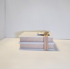 Rae Dunn Stack of Faux Books Fall Accent "Hello Pumpkin" Fall Harvest ...