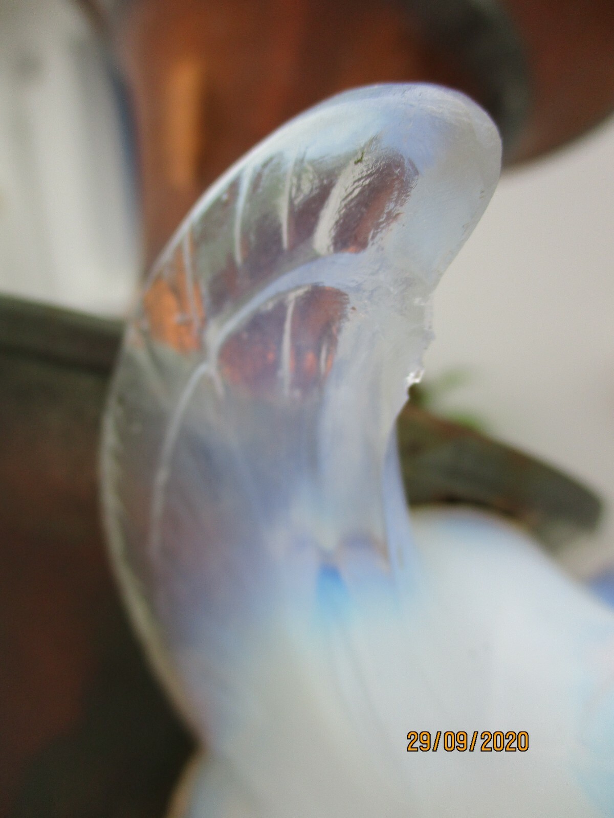 Lustre verre opalescent decor oiseaux Ezan Boris Lacroix époque Art ...