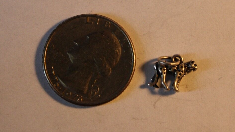Sterling Silver Cheetah Charm | eBay