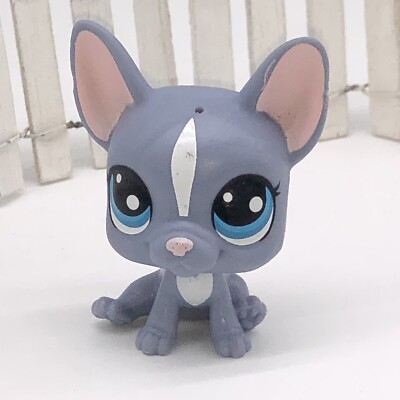 Littlest Pet Shop Lps 62 Buster Brindle French Bulldog Puppy Dog Grey ...