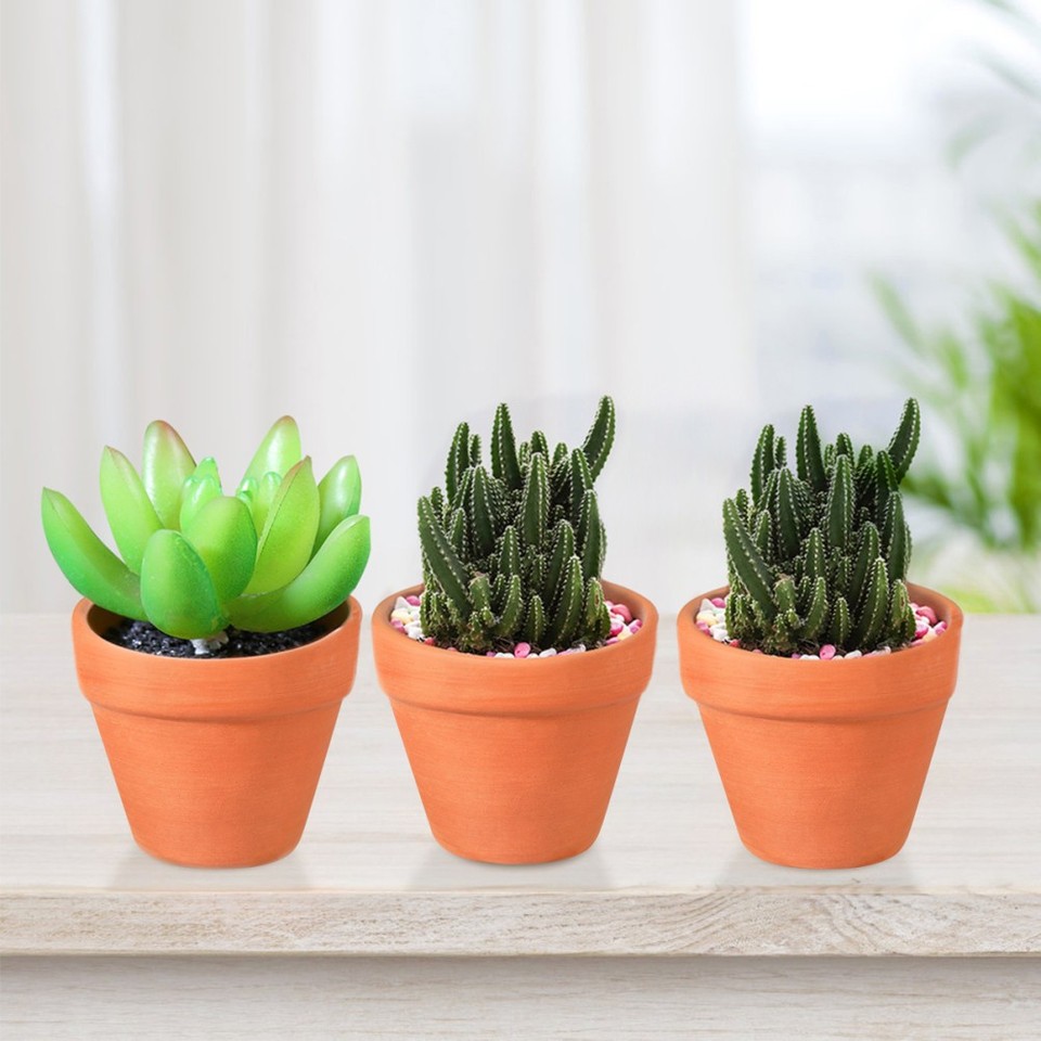 Ceramics Plants Pots Succulent Cactus Nursery Square Clay Flowerpot ...