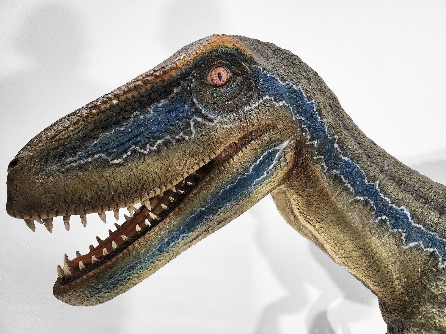 Raptor Dinosaur Statue Velociraptor Jurassic Blue Stripe Dino Life Size ...