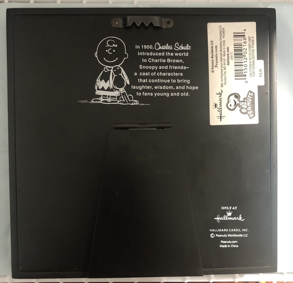 Peanuts Charlie Brown & Snoopy Framed Comic Hallmark Exclusive 2011 | eBay