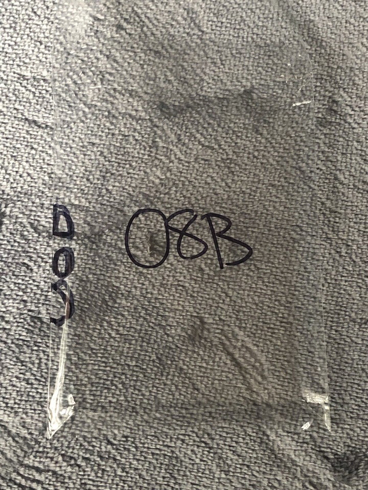 BRAD RIGBY - 1994 Signature Rookies Draft Picks Signatures #34 ...