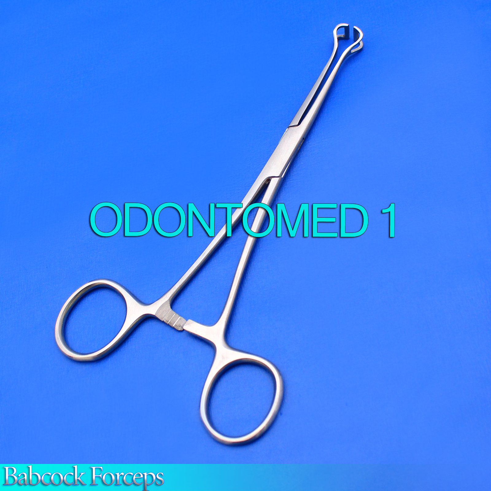 3 Babcock Forceps 8" Surgical Veterinary GYNO Instrument | eBay