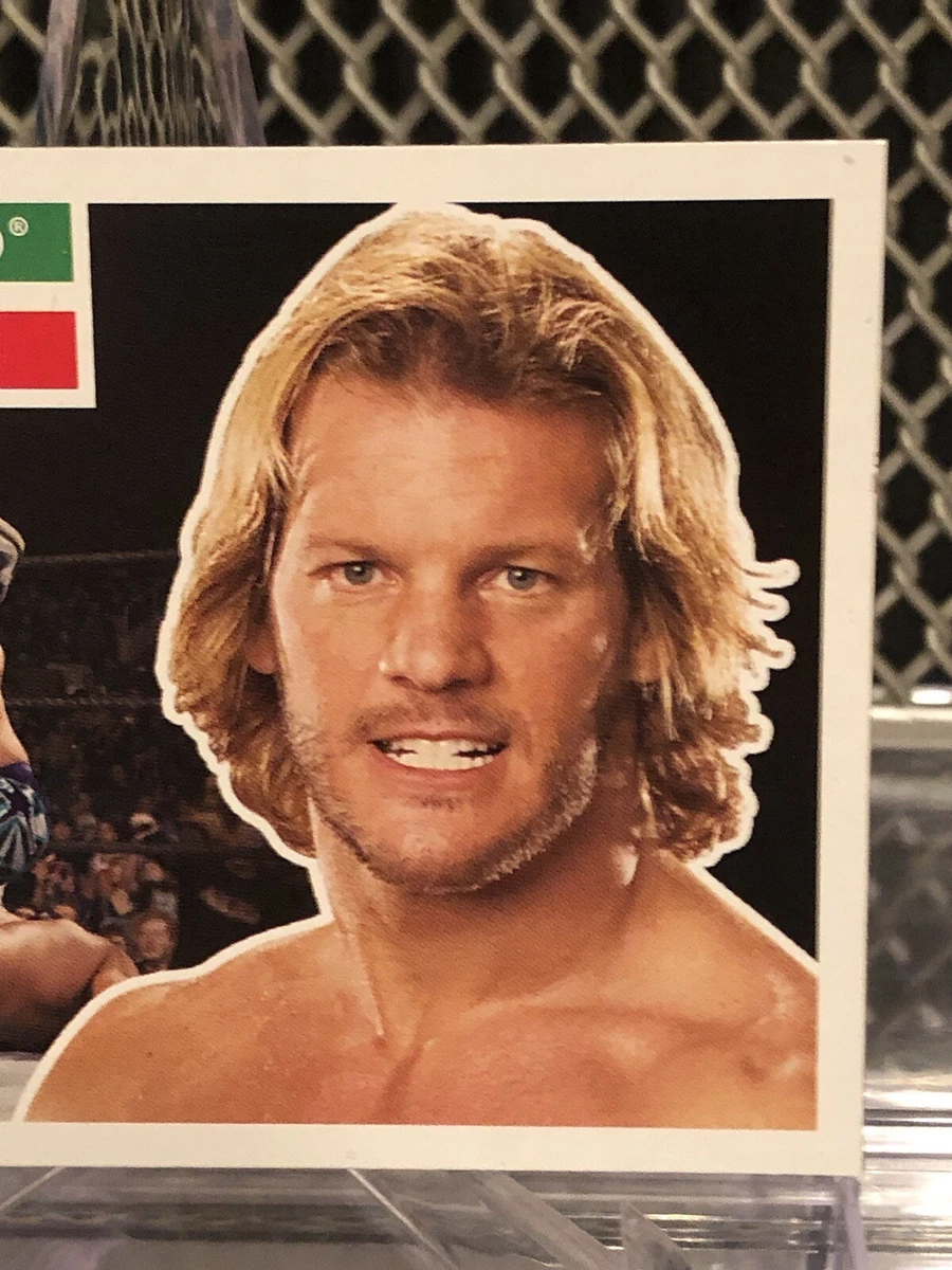 Y2j Chris Jericho Hair