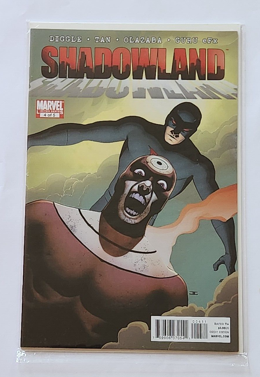 2010 MARVEL SHADOWLAND #4 COMIC BOOK | eBay