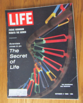 VINTAGE Life Magazine October 4, 1963 The Secret of Life Cover Photo | eBay