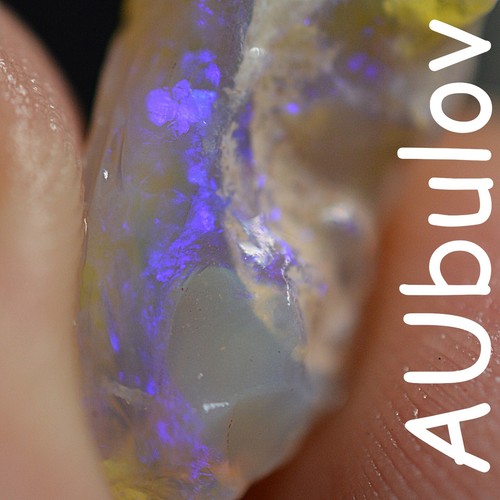 CP Rough Opal Thick Skin Shell specimens + Beautiful Colour 22.70 ...