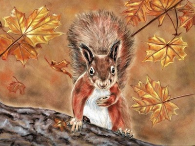 RED SQUIRREL British Wildlife Animal Artwork Print Gift UK Artist Size ...