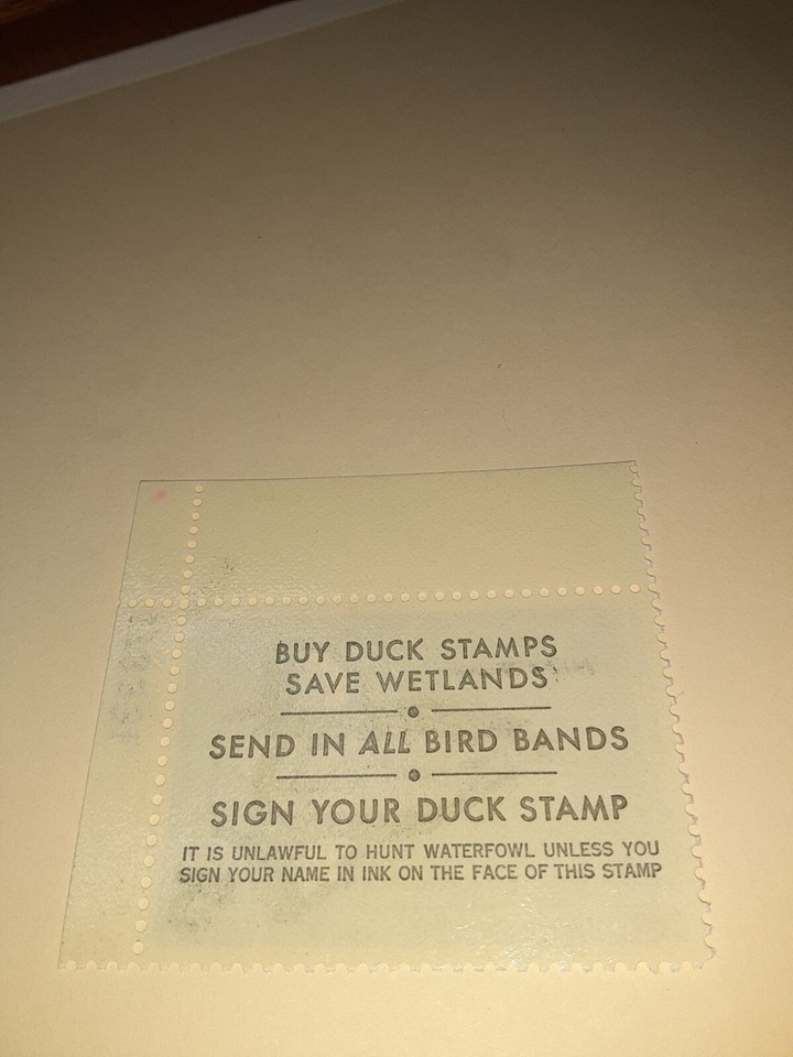 SL 8760/ US Stamp MNHOG RW 45 Duck Stamp us stamps collections lots | eBay