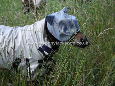 Shetland Fly Mask Sizes to fit Mini Shetland Shetland Small Pony & Pony ...