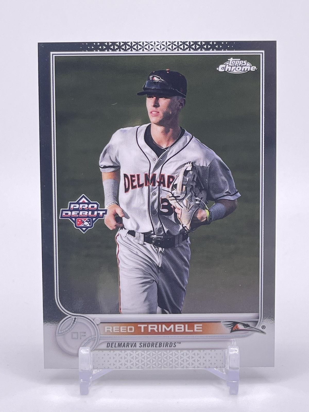 Reed Trimble 2022 Topps Pro Debut Chrome #PDC-38 Delmarva Shorebirds | eBay