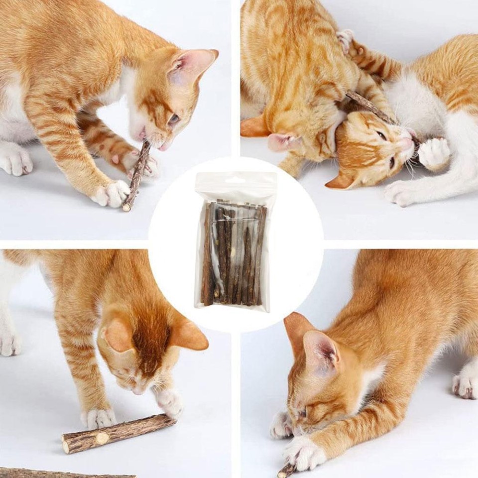 Silvervine Sticks for Cats, Natural Catnip Sticks Chew Sticks Teeth ...