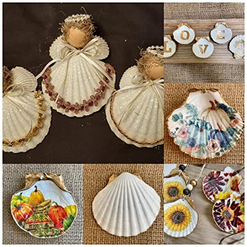 SEAJIAYI 30 PCS Scallop Shells 2-3 Inch Natural White Sea Shells from ...