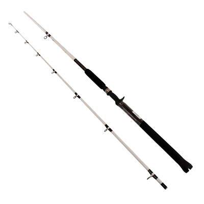 Catfish Casting Rod, 8' Medium Heavy Fishing Rod, 2 Piece | eBay