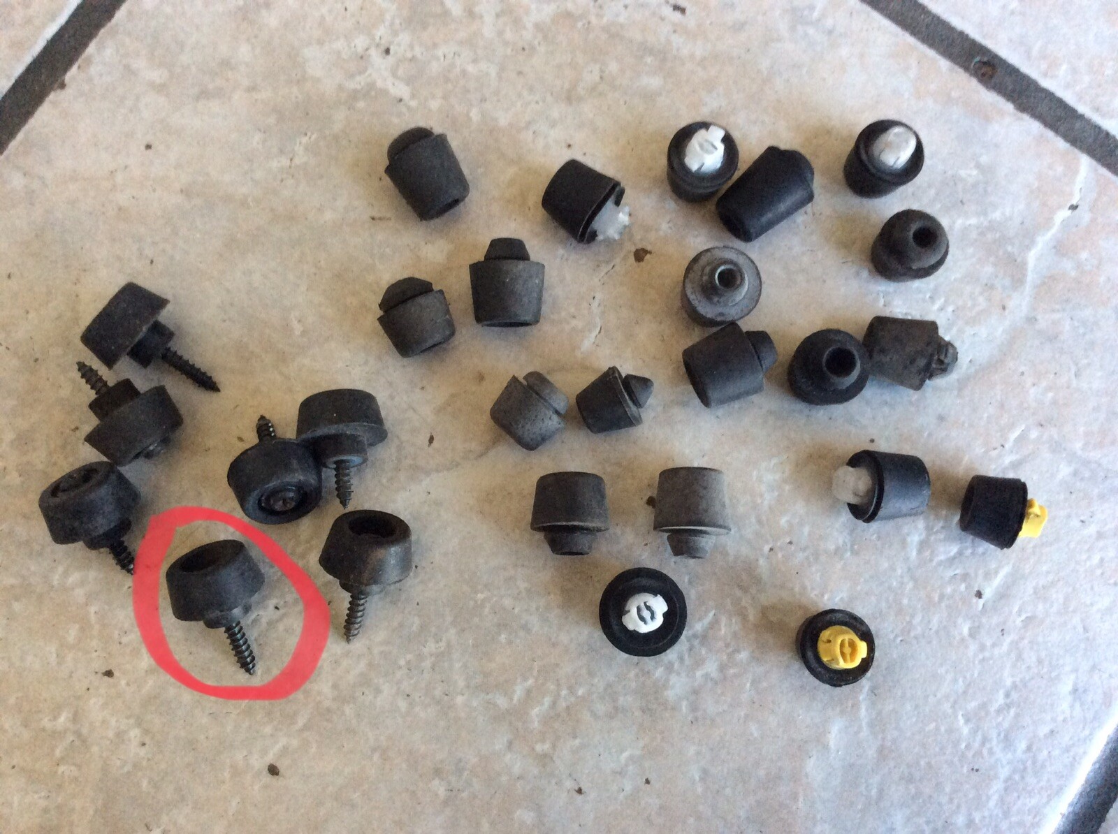 TOYOTA 6729360030 Genuine OEM Factory Original Cushion for sale online ...