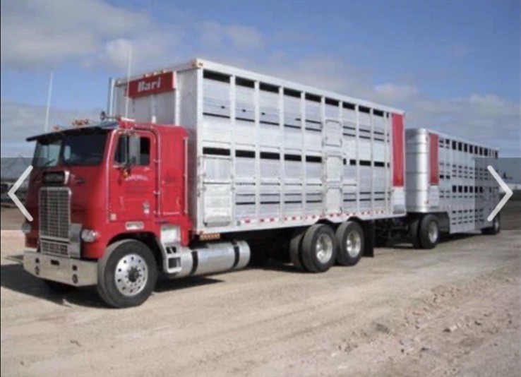 1/64 Scale Cattle Pup/ Livestock Hauler | eBay