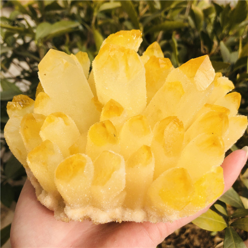 Natural Citrine Phantom Quartz Crystal Cluster Healing Specimen | eBay