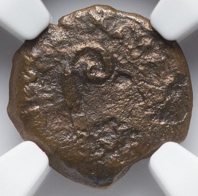 Pontius Pilate Judaea Authentic Jesus Bible Coin 26-36 AD AE Prutah ...