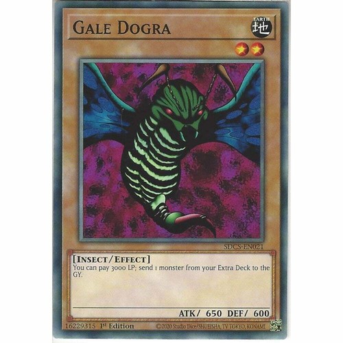 SDCS-EN021 Gale Dogra | 1st Edition Common YuGiOh Trading Card Game TCG ...