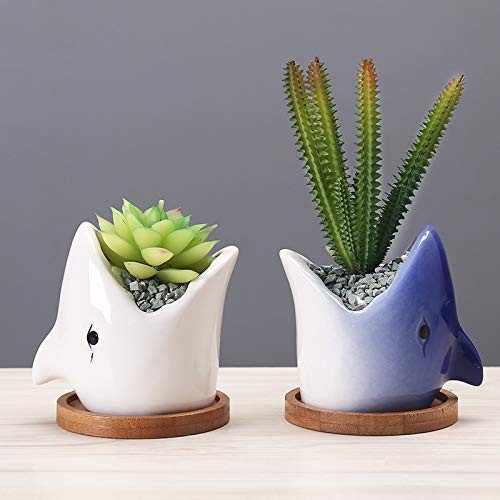 Cute 3.85 inch Tall Animal Shark Shaped Ceramic Succulent Cactus Flower ...