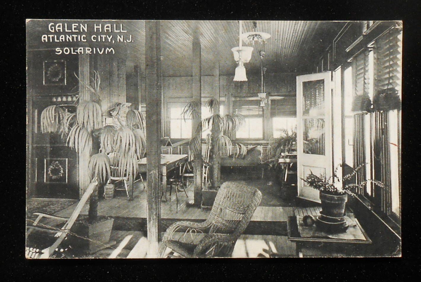 1910s Interior Solarium Galen Hall Hotel Potted Plants Atlantic City NJ ...