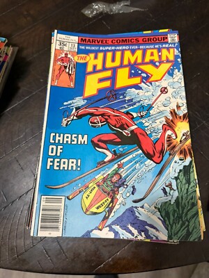 The Human Fly #13 Bronze Age Marvel Comic Book VF | eBay