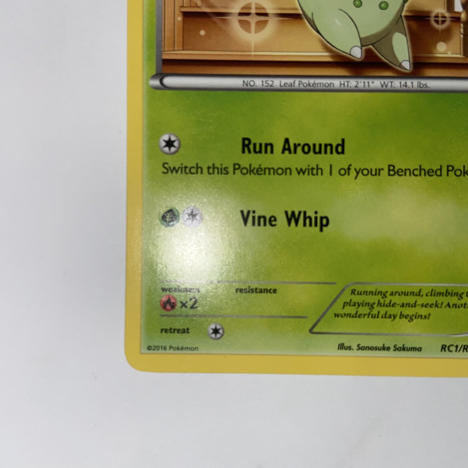 Pokémon TCG Chikorita Generations RC1 Regular Common for sale online | eBay